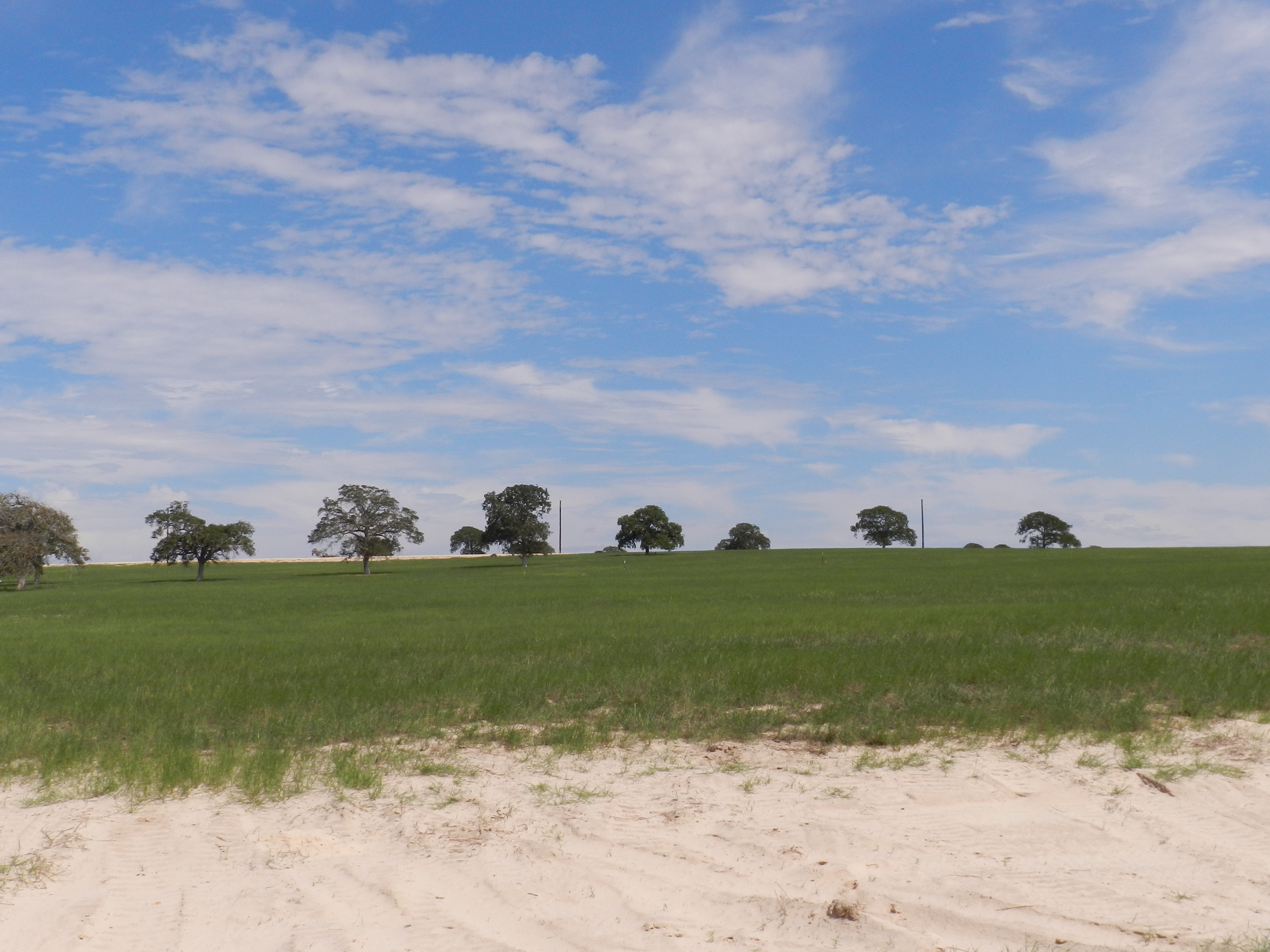 Acreage | Rose Properties